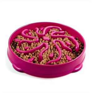 pawsing n claws slow feeder dog bowl - anti-choking & non slip interactive dog feeding bowls for dry/wet food that slow down eating dog bowl - maze puzzle design bowl - large (purple)