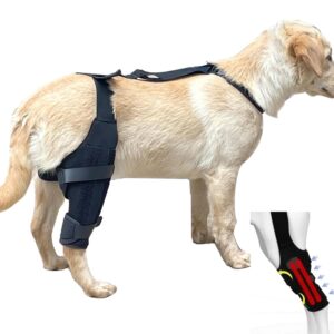 premium dog acl knee brace for torn acl hind leg support - cruciate care & recovery, adjustable leg braces for back leg, hip support - small, medium, large sizes with extra stabilizers (black, l)