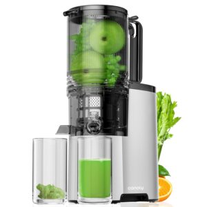 cold press juicer, 5.4" extra large feed chute fit whole fruits & vegetables, 350w professional slow masticating juicer machines, easy to clean