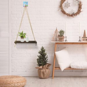 Dohia Wooden Wall Hanging Shelves Boho Wall Decor Floating Shelves for Bedroom Bathroom Living Room Nursery Dorm Room Display Shelving D4-YMZS(Brown)