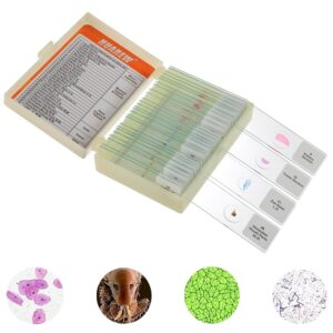 huarew 30 pcs microscope slides with specimens for kids, glass prepared slides set for microscope accessories, biology gifts and basic science for kid education