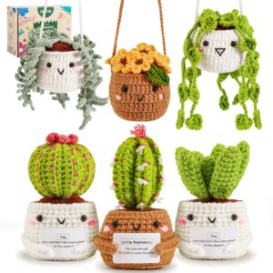 imcrasy crochet kit | crochet kit for beginners | beginner crochet kit with step by step video lessons | 6 pc potted plants and succulent family crochet kit with crochet accessories(40%+ yarn)