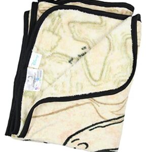 Disney Peter Pan Neverland Map Micro Raschel Throw Blanket 46"x60" (116cm x 152cm)