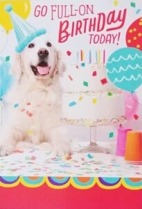 greeting card go full-on birthday today with golden labrador retriever dog