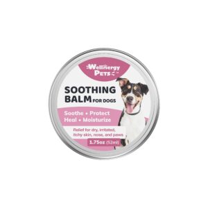 wellnergy pets soothing balm for dogs - natural paw protection and skin soother for dry paw pads and noses - vet formulated elbow butter and dog foot cream - dog snout balm and dog feet moisturizer