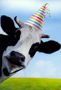 pictura cow wearing sparkling striped party hat humorous / funny birthday card