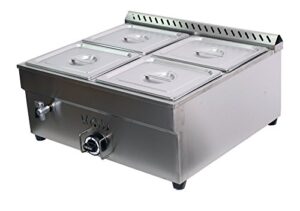 4-pan lp propane food warmer gas food warmer propane steam table stainless steel bain marie buffet for parties (with gas regulator valve) 1/2 * 4” double row