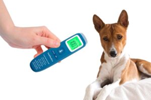 petmedics non-contact digital pet thermometer for dogs - infrared fast and accurate canine temperature detection - easy to read lcd display