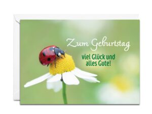 burg street creations german birthday card - zum geburtstag viel glück und alles gute (ladybug on a daisy)