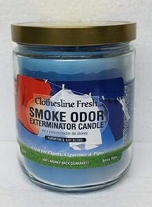 smoke odor exterminator 13oz jar candle, clothesline fresh (1) candle.