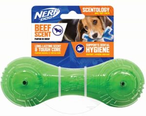 nerf dog 7in tpr/pp scented beef superscent barbell solid core -green/clear