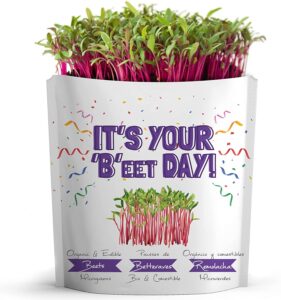 gift a green it's your beet day birthday greeting card cards with organic microgreens! just like post cards, simply mail & recipient gets to grow & eat | greeting cards for all occasions | 1 pack