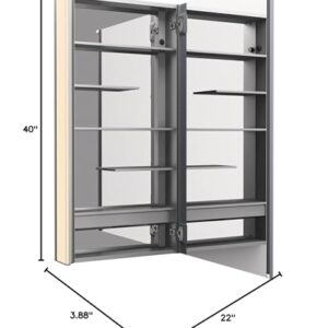 KOHLER K-81148-SLE-DA Maxstow Medicine Cabinet with LED Light, Mirror Door & Staggered Shelves, Rectangular Frame, 22" x 40"