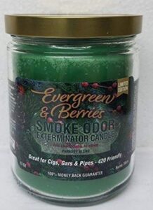 smoke odor exterminator 13oz jar candle,evergreen & berries, (1) candle.