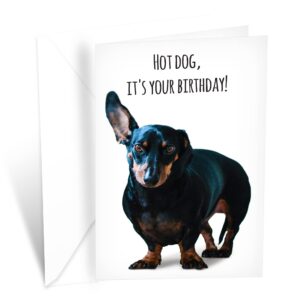 prime greetings funny dog birthday card pun with wiener, made in america, eco-friendly, thick card stock with premium envelope 5in x 7.75in, packaged in protective mailer