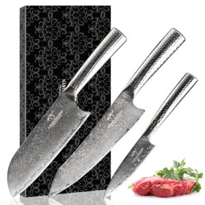 3 pieces damascus kitchen knife set with 8” chef knife, 7” santoku knife, 3.5” paring knife, 67 layer handmade damascus vg10 steel core, hammered ergonomic handle (gift box)