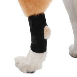 maplefield - dog leg brace - rear hock hind leg support for canines - helps promote healing and rehabilitation, prevents injuries, and helps with arthritis (xs)