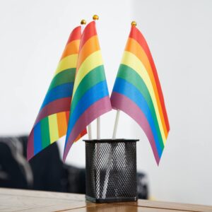 GentleGirl 12 Pack Pride Rainbow Flags Rainbow Small Mini Hand Held Stick Flag Gay LGBT Festival Party Parades Decorations