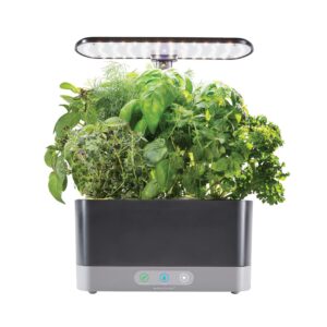 aerogarden harvest xl with gourmet herbs seed pod kit - indoor garden with led grow light, black