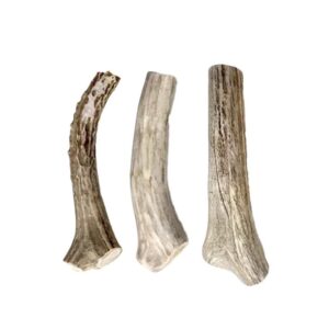 hotspot pets small premium deer antler for dogs (3 pack) - 4-8 inch long lasting antler dog chews naturally shed deer antlers bone for small & medium breed aggressive chewers - sourced in usa