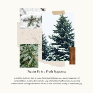 Thymes Frasier Fir Candle – Frosted Plaid Jar Candles – Green & White Candle Jar Design – Scented Candles with Notes of Siberian Fir, Cedarwood & Sandalwood – Holiday Candles – Votive Candles (2 oz)