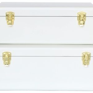 Vixdonos Metal Trunk Decorative Storage Box Set of 2 College Dorm Chest with Handle (White)