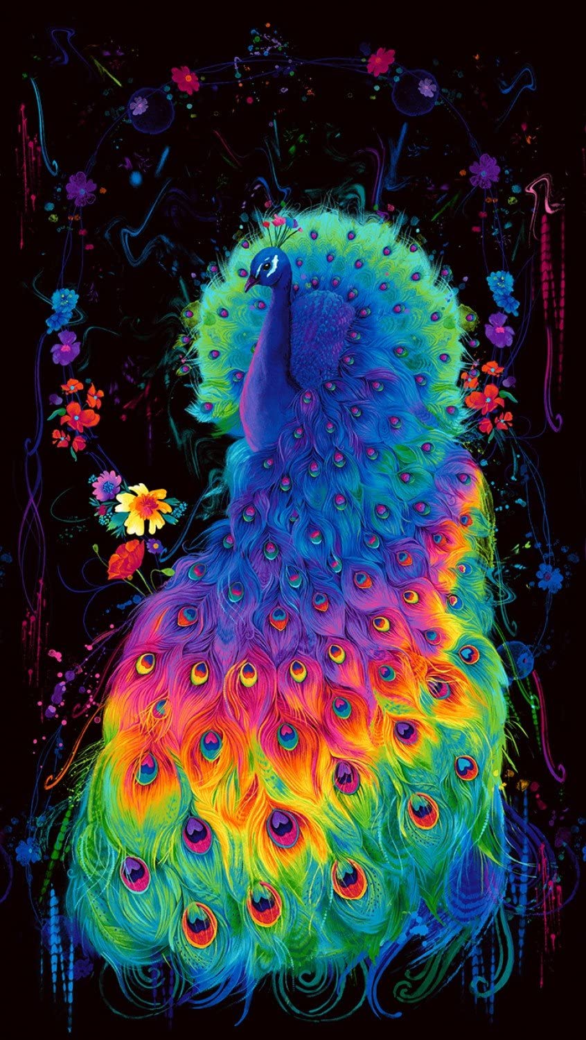 Timeless Treasures Glow Rainbow Peacock Black 24" Panel Premium Quality 100% Cotton Fabric by The Panel.