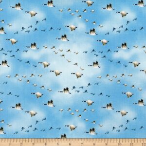 henry glass & co. henry glass dockside flying geese fabric, blue