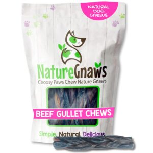 nature gnaws braided beef jerky chews for dogs 5-6" (10 count) - long lasting for small and medium dogs - natural beef gullet dog chew bones