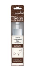 tropiclean enticers dog teeth cleaning treat gel | beef brisket flavored dog toothpaste alternative | 2 oz.