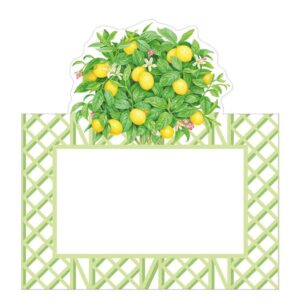 caspari citrus topiaries die-cut place cards, 40 count