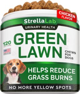 strellalab grass burn spot chews for dogs - dog urine neutralizer for lawn - dog pee lawn spot saver - natural treatment caused by dog urine - grass treatment rocks -dl-methionine+enzymes - 120 chew