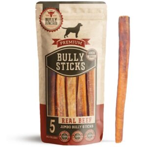 bully bunches premium 12 inch jumbo odor-free bully sticks for medium & large dogs - long lasting chews for oral care - all natural & single ingredient, 100% beef dog treat, rawhide free (5 pk)