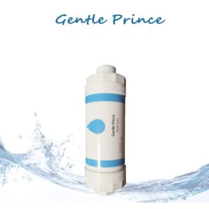 Gentle Prince ION WATER Bidet filter - Premium Bidet Filter for Electronic Bidet Toilet Seats (4PCS)