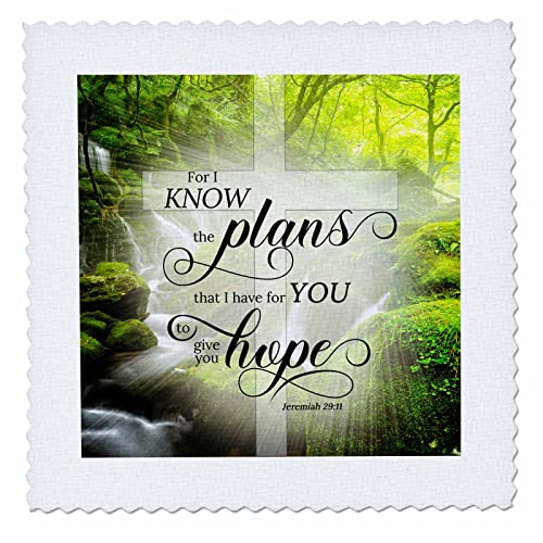 20x20 inch Quilt Square - for I Know The Plans That I Have for You Christian Cross Inspirational