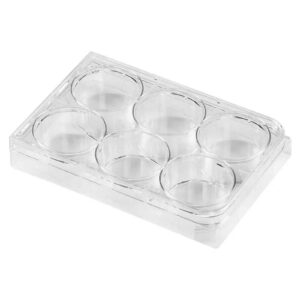 6 well culture plate - culture plate 6 well - with lid, flat bottom, individual pack (pack of 10)