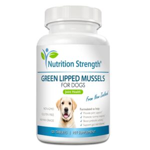 nutrition strength green lipped mussels for dogs for joint support & inflammatory relief, promote normal mobility & flexibility, boost prebiotic activity, support gut microbiome, 120 chewable tablets