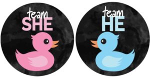 what the duck are they having gender reveal party - rubber duck team he or team she - 40 stickers