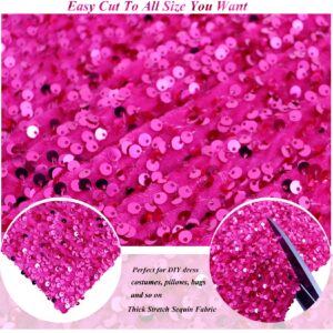 Hot Pink Sequin Fabric by The Yard Stretch Velvet Fabric Fuchsia Upholstery Fabric Velvet Linen Sequins for Crafts Sparkle Material Dress Fabric Sequin Cloth Sewing Fabric for Christmas Prom Costumes