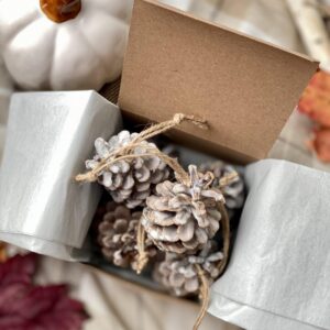 fire starters scented pine cones | fireside natural fire pit starters with natural soy wax | christmas home fragrance fir + cypress + cedar + amber + moss | set of 6 pine cones gift box