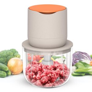 lvsenlin wireless electric food processor，600ml electric food chopper for meat,onions,vegetables,garlic,complementary food, meat chopper blender