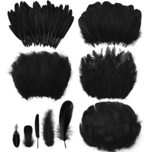 500 pcs halloween black assorted crafts feathers 4 styles mixed feathers black feathers for crafts chicken turkey goose feathers supplies for diy wedding home party costume clothing accessories