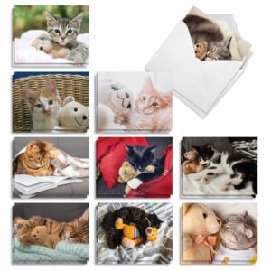 the best card company - 20 assorted boxed thank you note cards with envelopes (4 x 5.12 inch) - teddy cat am2821tyg-b2x10