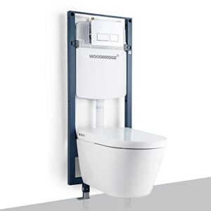 woodbridge intelligent compact elongated dual-flush wall hung toilet with bidet wash function, heated seat & dryer. matching concealed tank system and white marble stone slim flush plates included