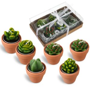 6 pcs succulent candles decorative cactus tealight candle novelty tea lights handmade baby shower candle decorations stylish plant candle with mini terracotta clay candle holders for birthday wedding