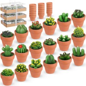 treela 18 pcs succulent cactus tealight candles handmade tea lights baby shower plant candle gift with mini terracotta clay candle holders for home birthday christmas wedding party(classic)