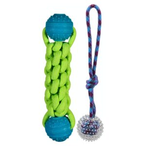 chase 'n chomp rope dog toy 2 pack