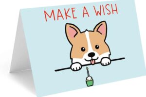 red door inspirations dog happy birthday card, 4x6 includes card and envelope (corgi birthday card single)