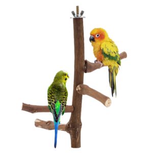 cozycabin natural bird perch stand, hanging multi branch grapevine parrot perch bird cage toys for small budgies conure parrot parakeets cockatiels lovebirds (branch)