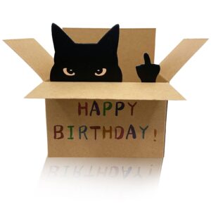 aminord birthday card - cat birthday card for men women - funny happy birthday card for friends